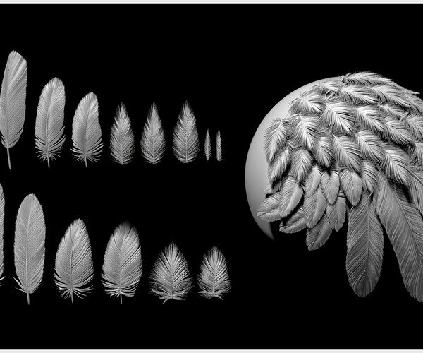 ArtStation - Red-Tailed Hawk Feathers IMM | Brushes