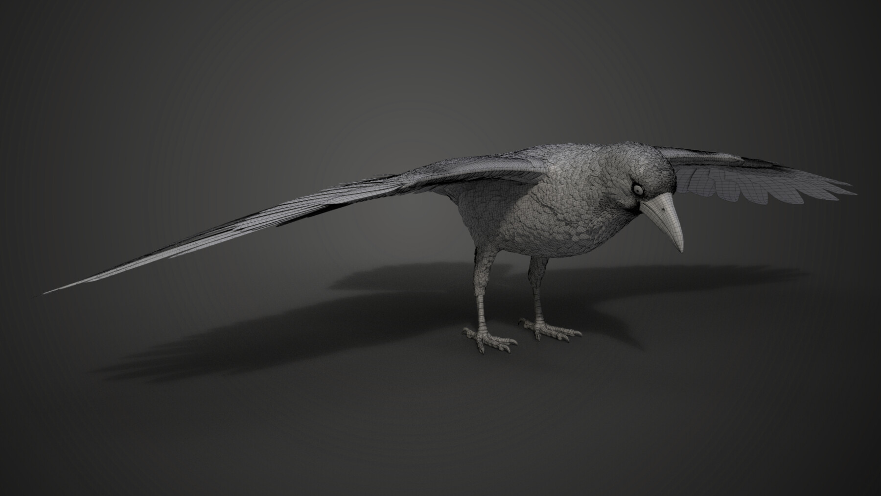 ArtStation - Carrion Crow Animated | VFX Grace | Game Assets