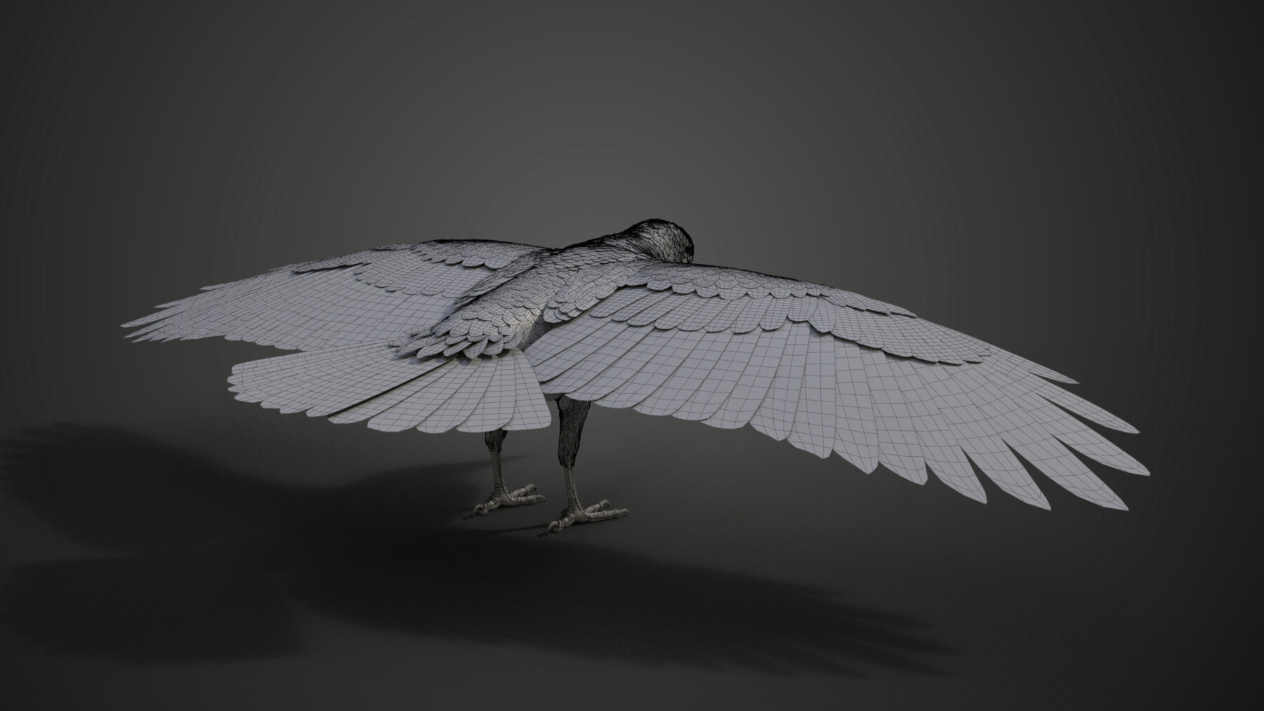 ArtStation - Carrion Crow Animated | VFX Grace | Game Assets