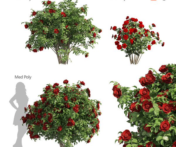 ArtStation - 3 Red Rose Flower Bush Low Poly | Resources