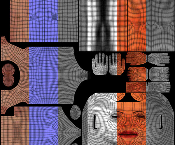 ArtStation - Female Ecorche - Skin Musculature Skeleton | Game Assets