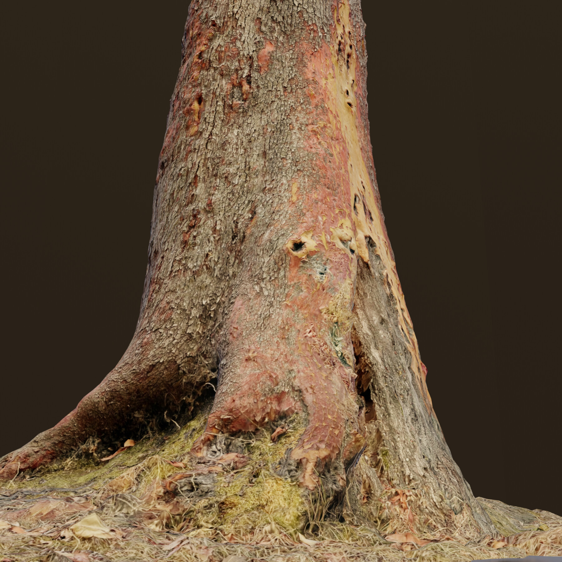 ArtStation - Tree Base - 3D Assets for Concept Art | Resources