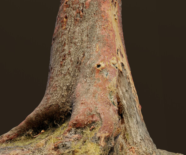 ArtStation - Tree Base - 3D Assets for Concept Art | Resources