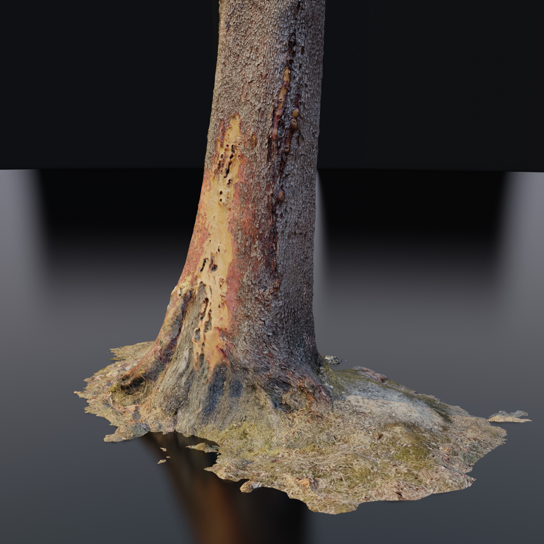 ArtStation - Tree Base - 3D Assets for Concept Art | Resources