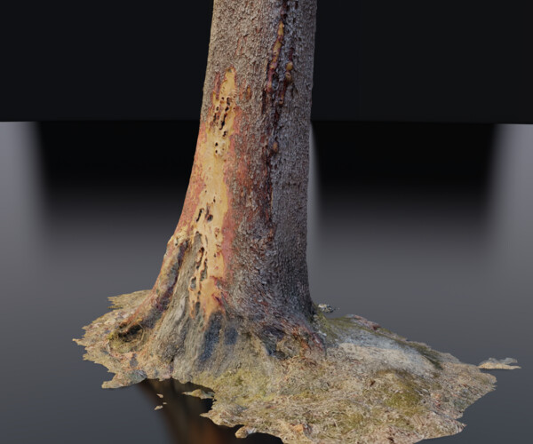 ArtStation - Tree Base - 3D Assets for Concept Art | Resources