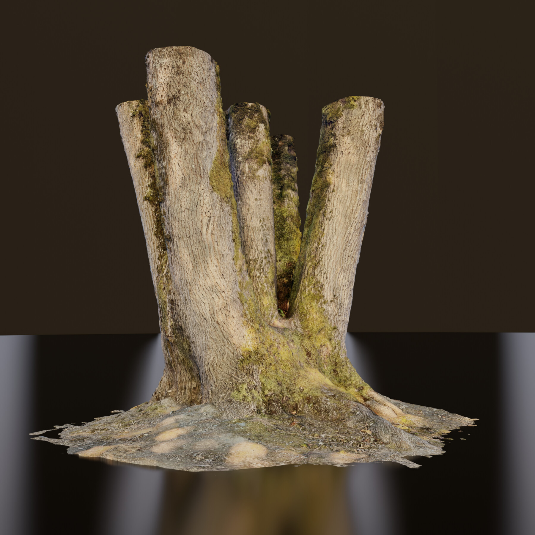 ArtStation - Tree Base - 3D Assets for Concept Art | Resources