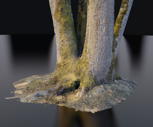 ArtStation - Tree Base - 3D Assets for Concept Art | Resources