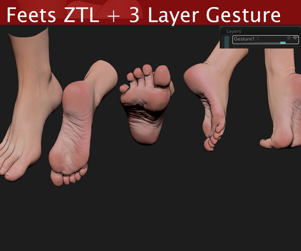 ArtStation - Feet ZTL + 3 Gesture Layer | Resources