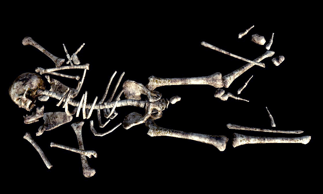 ArtStation - Dead Skeleton - PBR - Textured | Game Assets