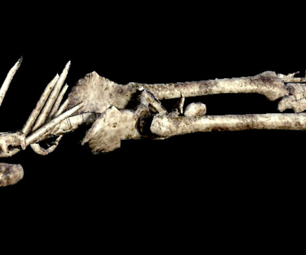 ArtStation - Dead Skeleton - PBR - Textured | Game Assets