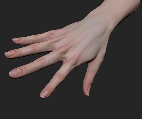 ArtStation - Neutral Hand Tutorial Woman | Tutorials