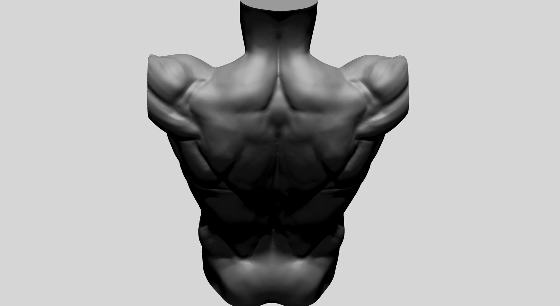 ArtStation - Back Anatomy | Resources