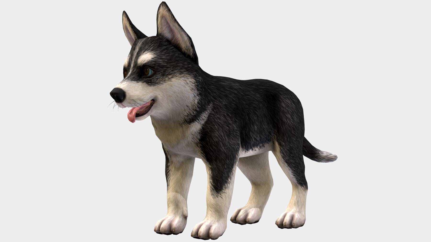 ArtStation - Puppy - Husky | Game Assets