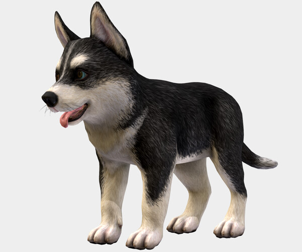 ArtStation - Puppy - Husky | Game Assets