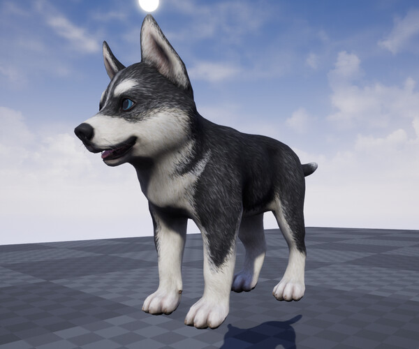 ArtStation - Puppy - Husky | Game Assets