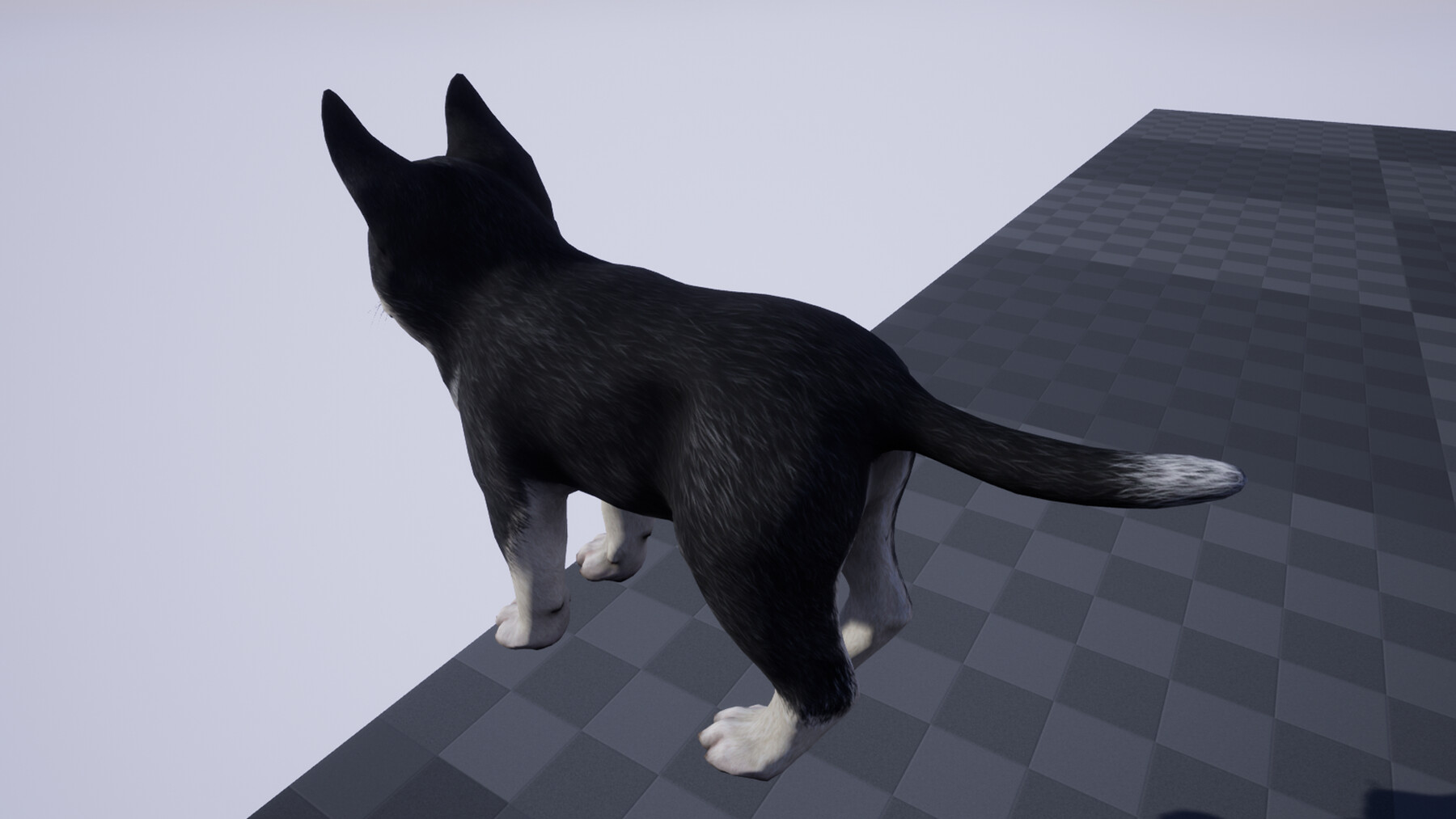 ArtStation - Puppy - Husky | Game Assets