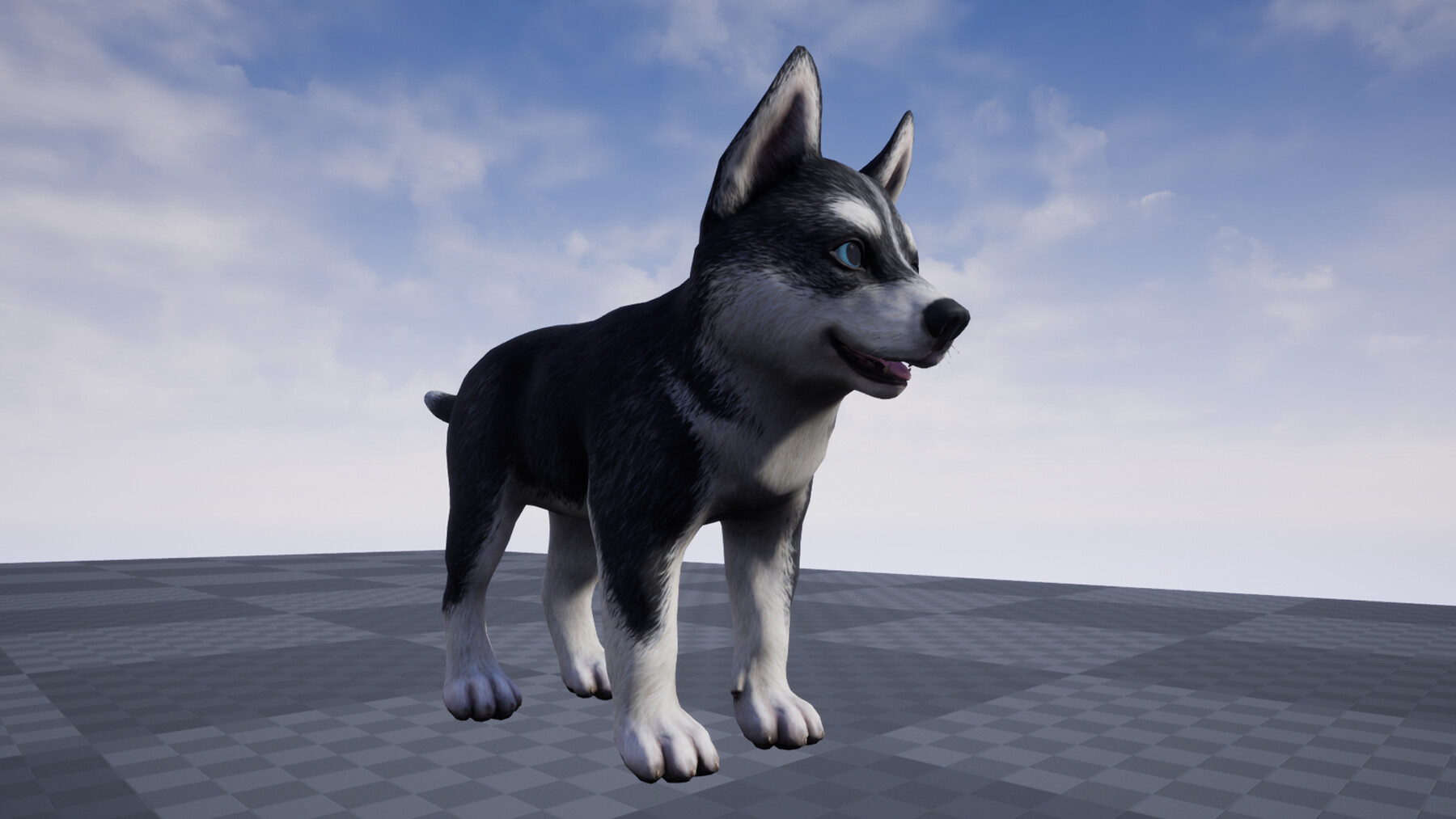 ArtStation - Puppy - Husky | Game Assets