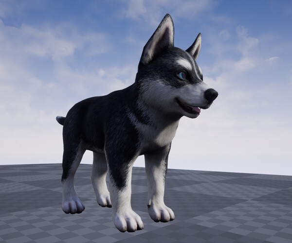ArtStation - Puppy - Husky | Game Assets