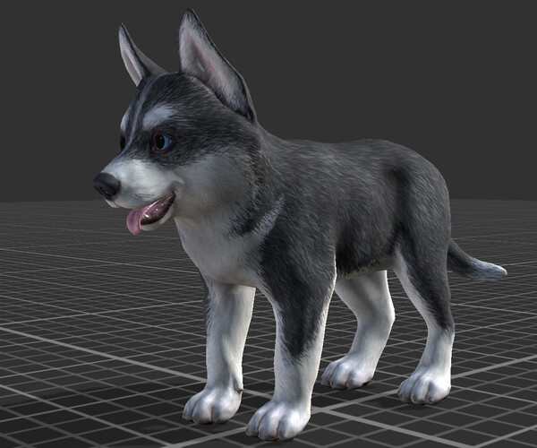 ArtStation - Puppy - Husky | Game Assets