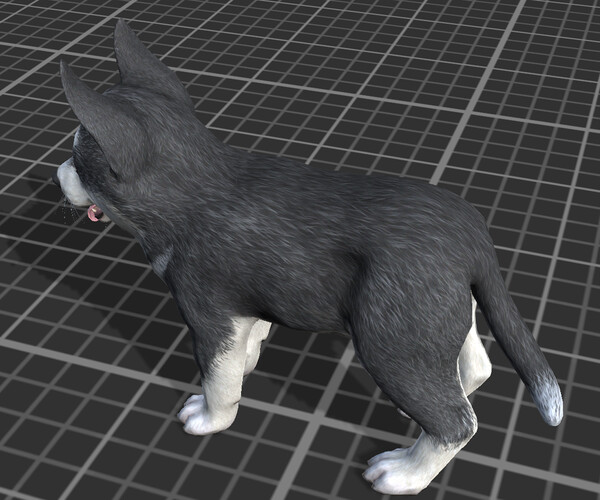 ArtStation - Puppy - Husky | Game Assets