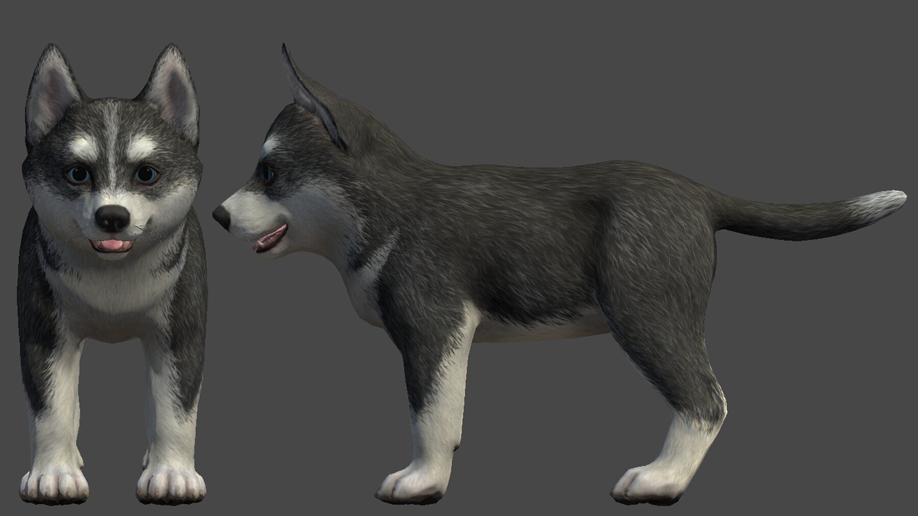 ArtStation - Puppy - Husky | Game Assets