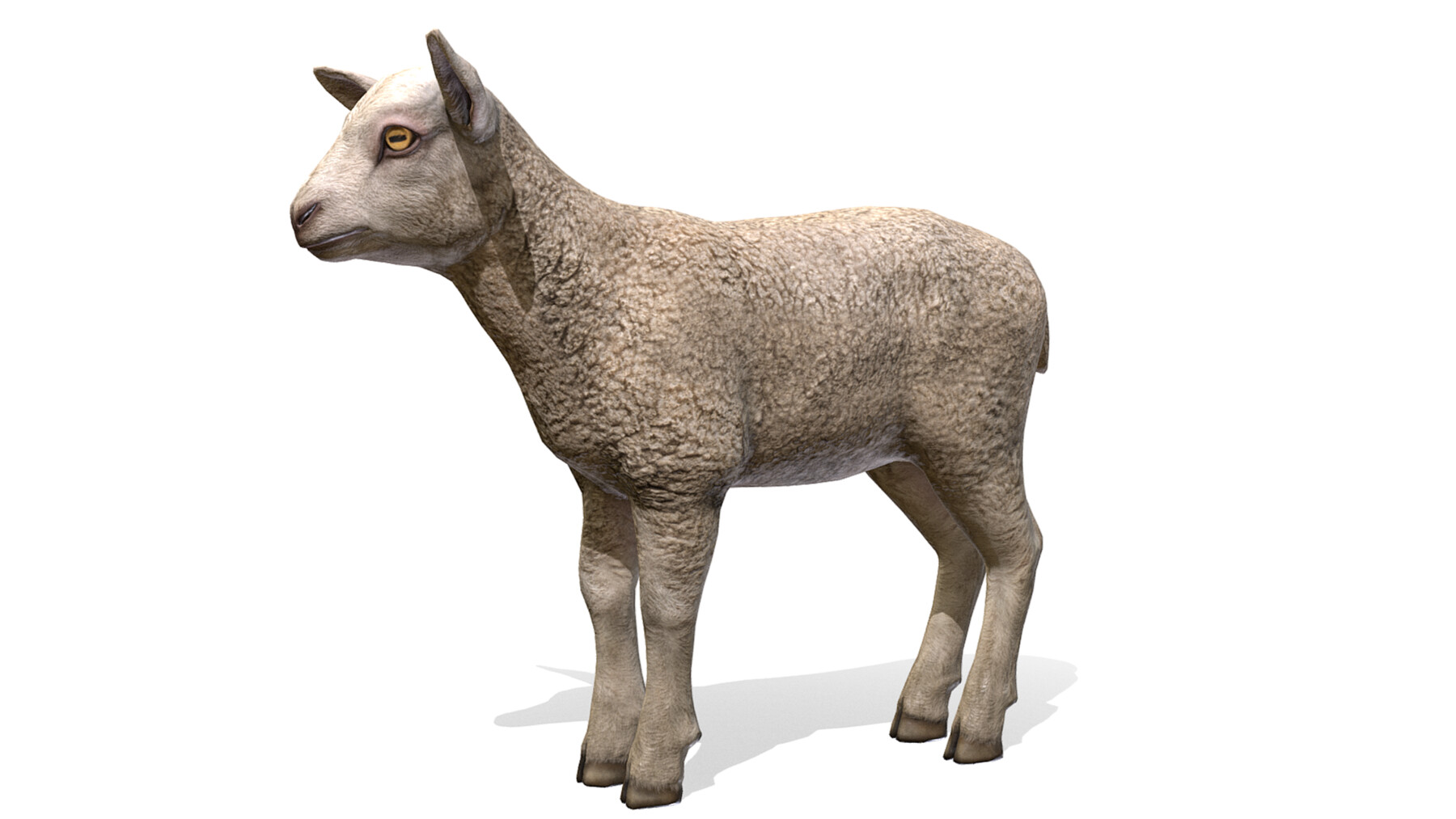 ArtStation - Lamb | Game Assets