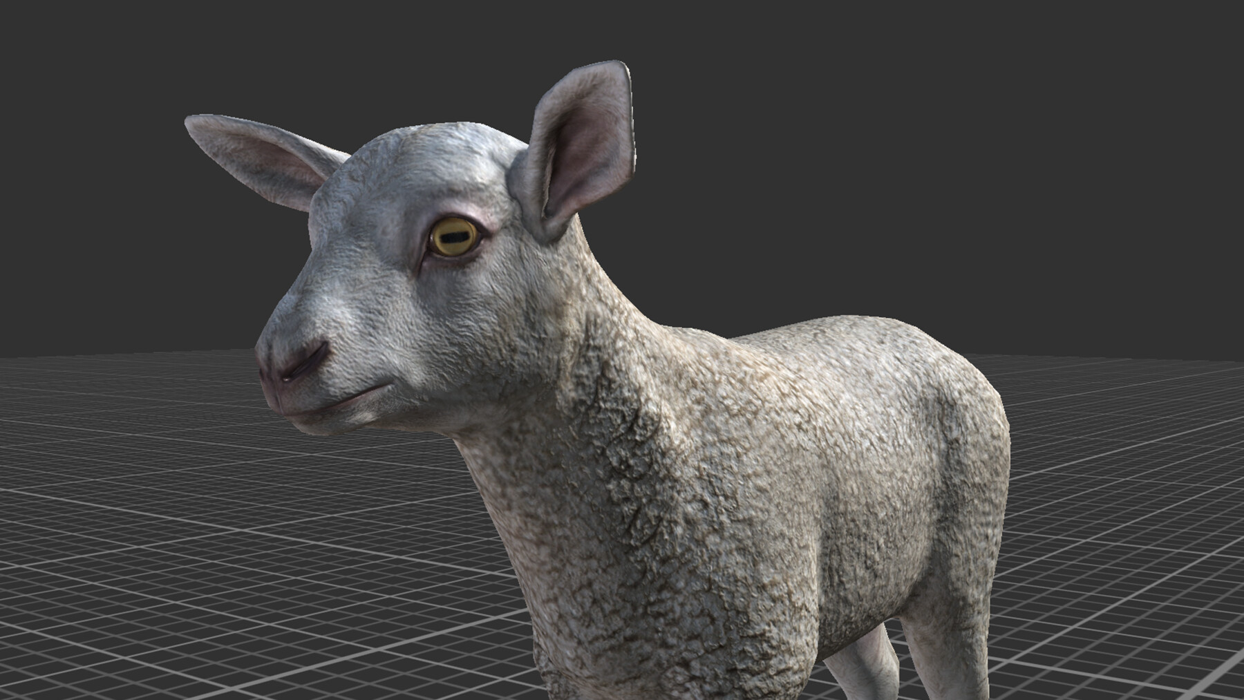 ArtStation - Lamb | Game Assets