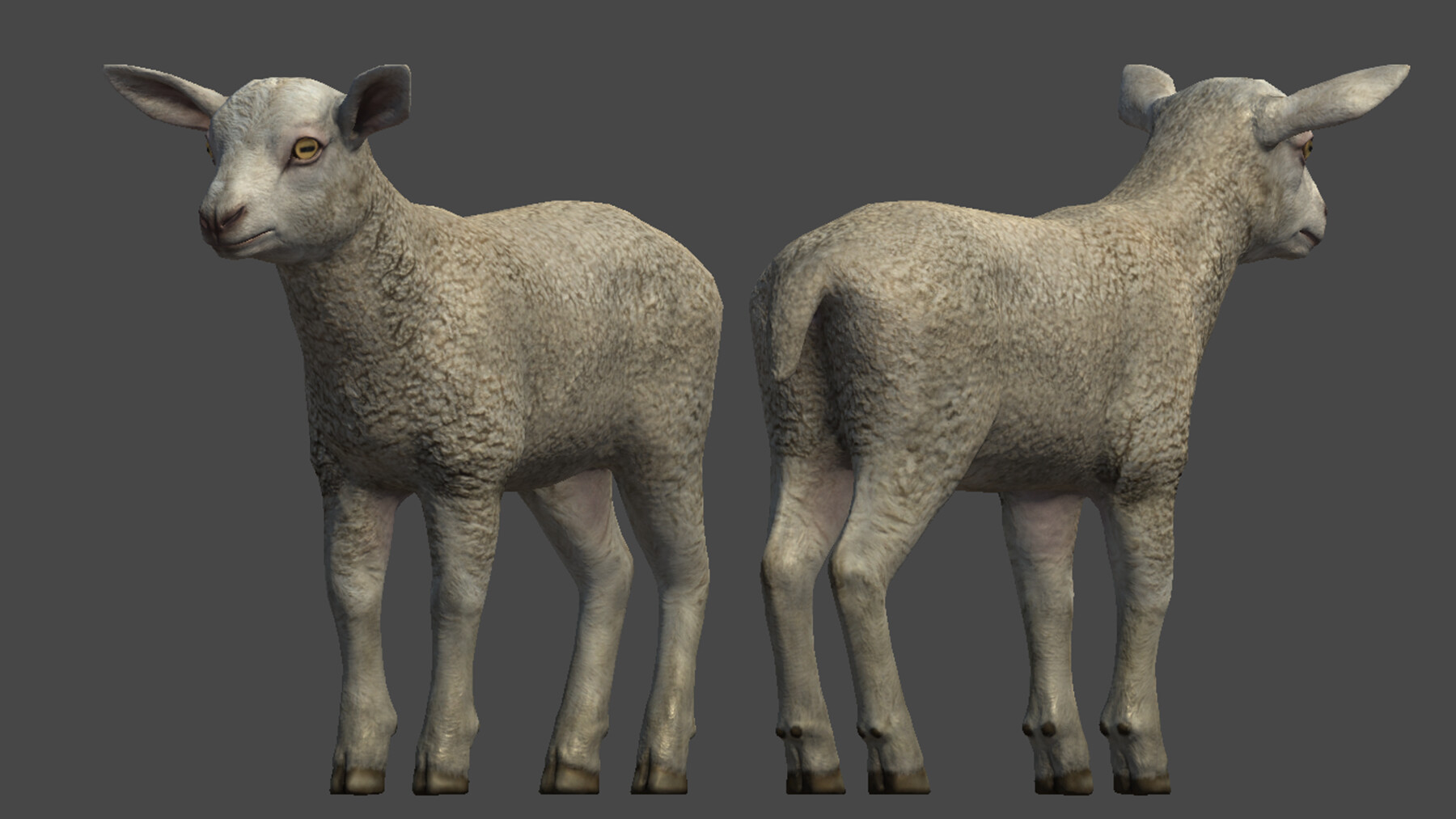 ArtStation - Lamb | Game Assets