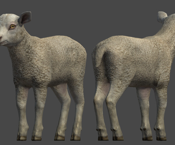ArtStation - Lamb | Game Assets