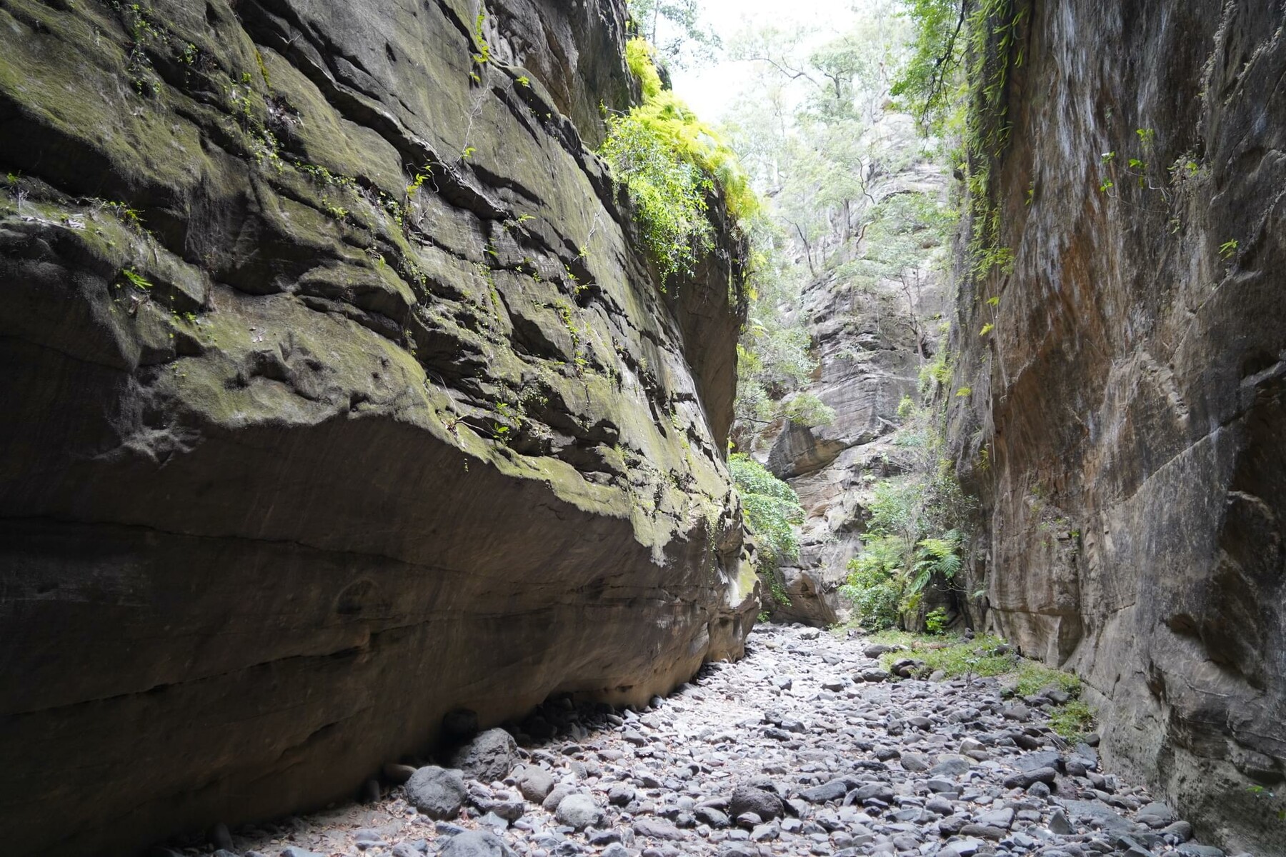 ArtStation - 258 photos of Smooth Bending Canyon | Resources