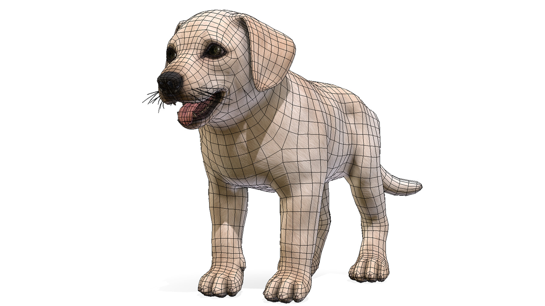 ArtStation - Puppy - Labrador | Game Assets