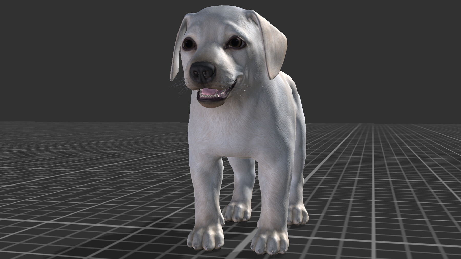 ArtStation - Puppy - Labrador | Game Assets