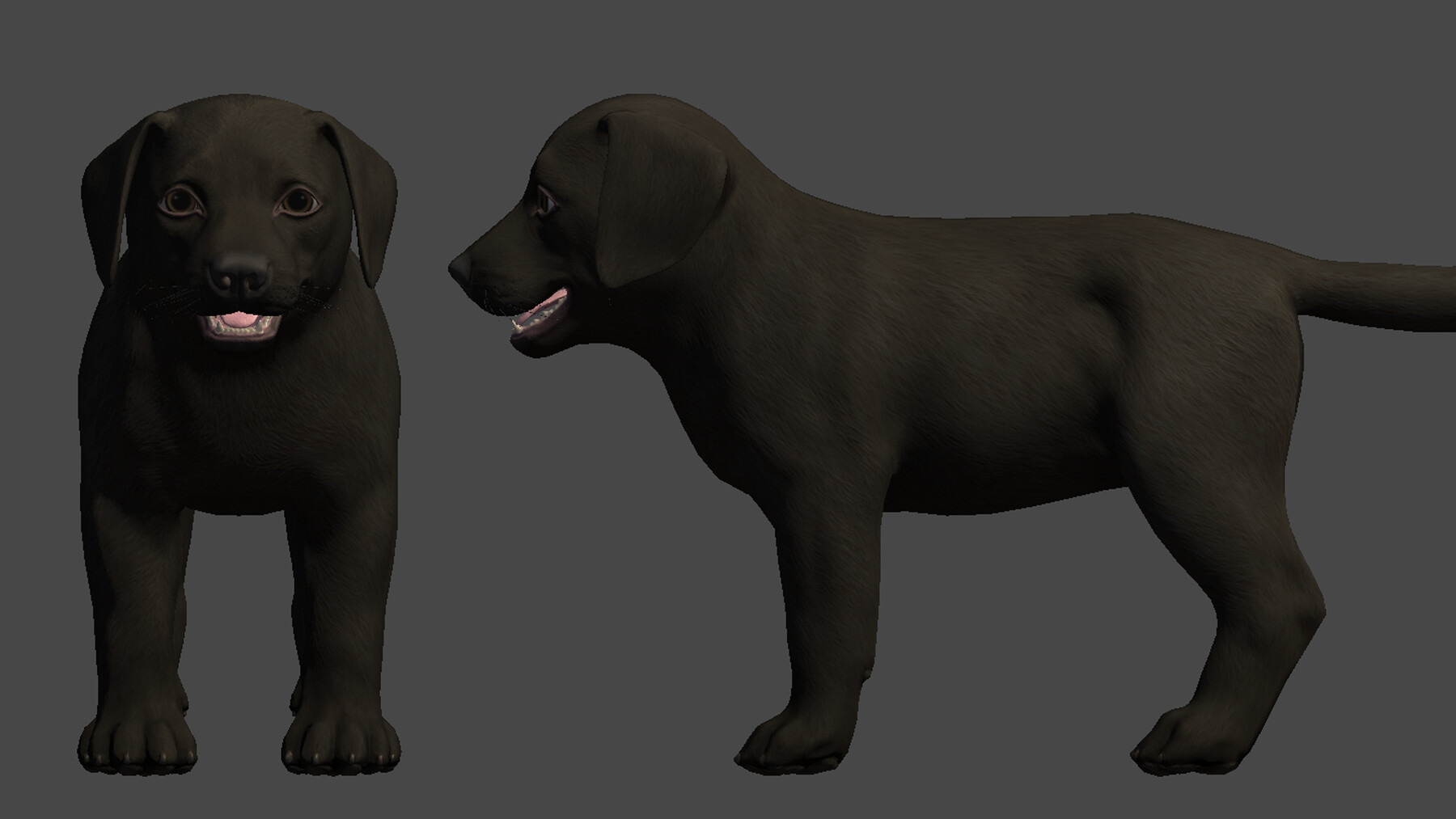 ArtStation - Puppy - Labrador | Game Assets