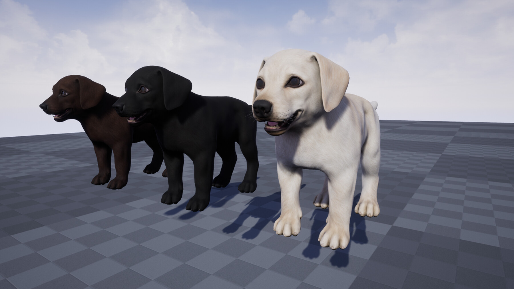 ArtStation - Puppy - Labrador | Game Assets