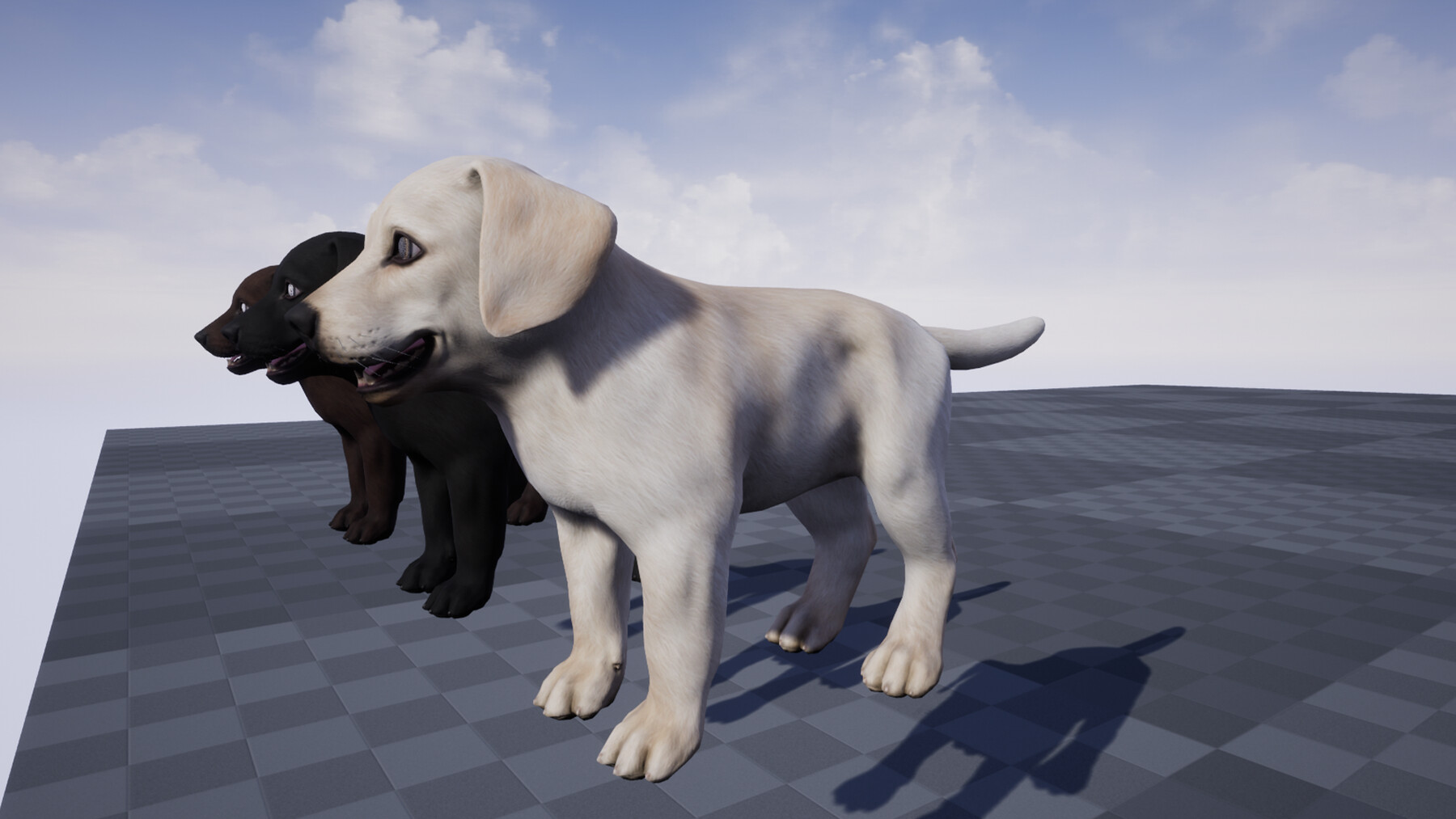 ArtStation - Puppy - Labrador | Game Assets