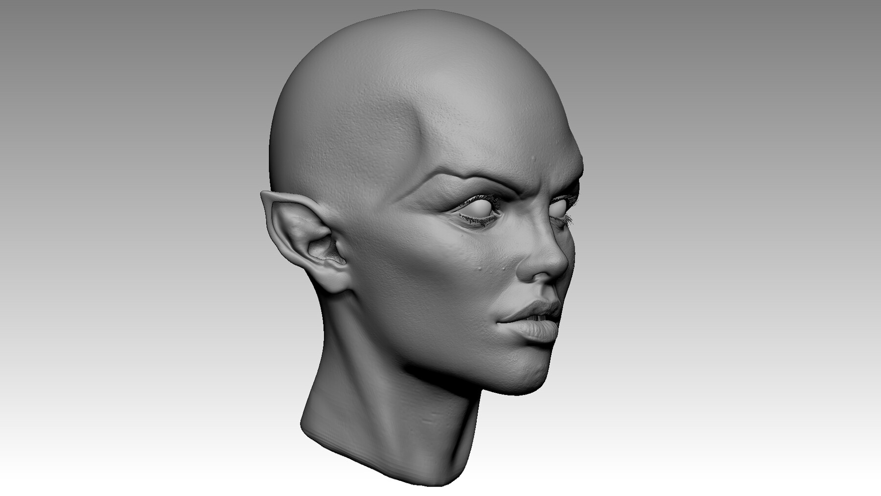 ArtStation - Stylized Female Elf Head V.1 | Resources