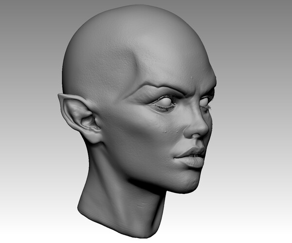 ArtStation - Stylized Female Elf Head V.1 | Resources
