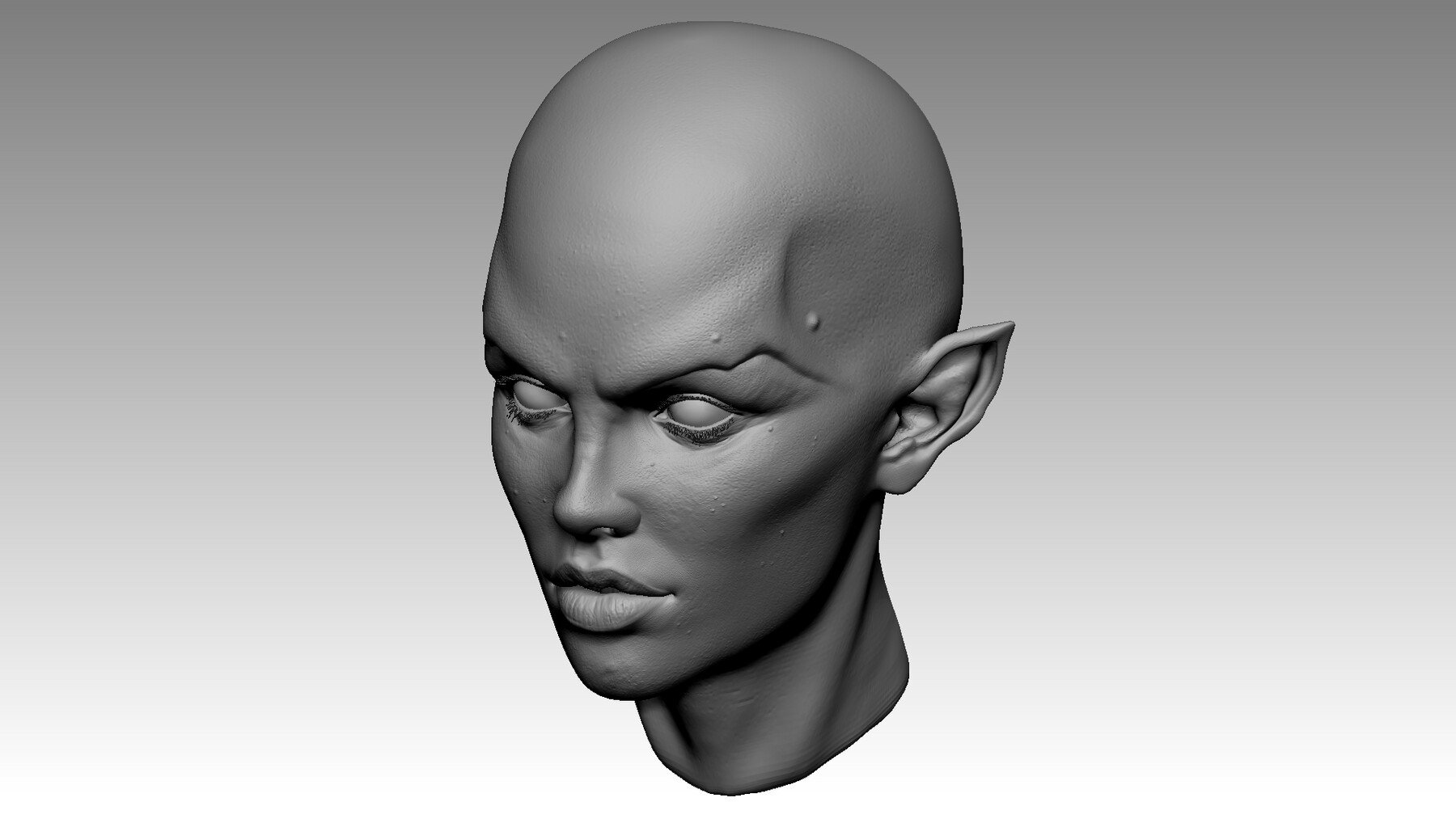 ArtStation - Stylized Female Elf Head V.1 | Resources