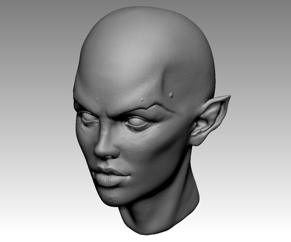 ArtStation - Stylized Female Elf Head V.1 | Resources