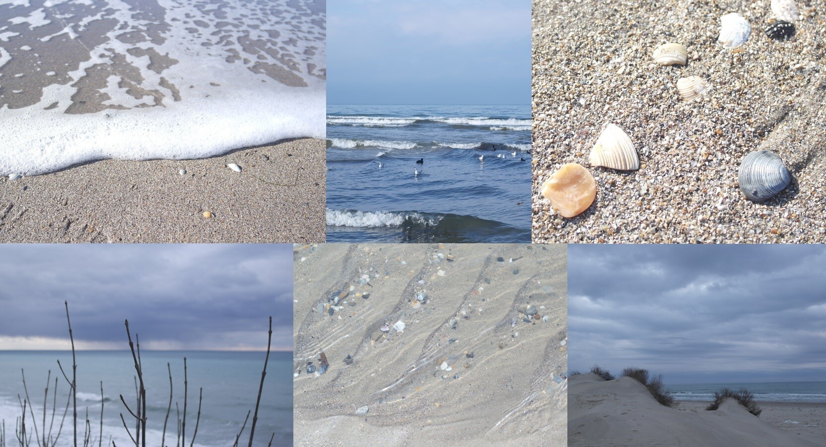 ArtStation - Sea Details vol.2 260+ Photo Reference Pictures | Resources