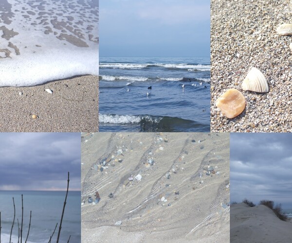 ArtStation - Sea Details vol.2 260+ Photo Reference Pictures | Resources