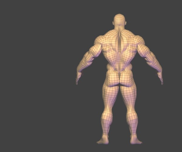 ArtStation - bodybuilder base mesh | Resources