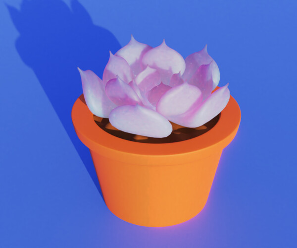 ArtStation - Succulent | Game Assets