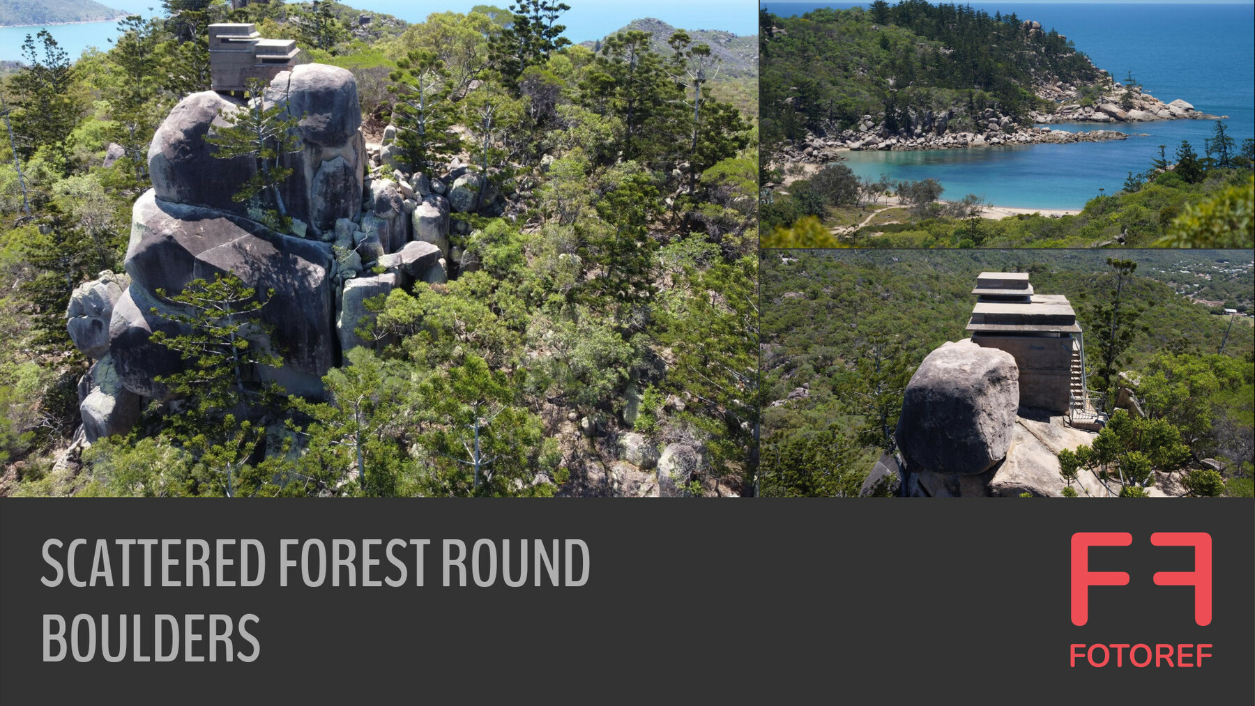 ArtStation - 128 photos of Scattered Forest Round Boulders | Resources