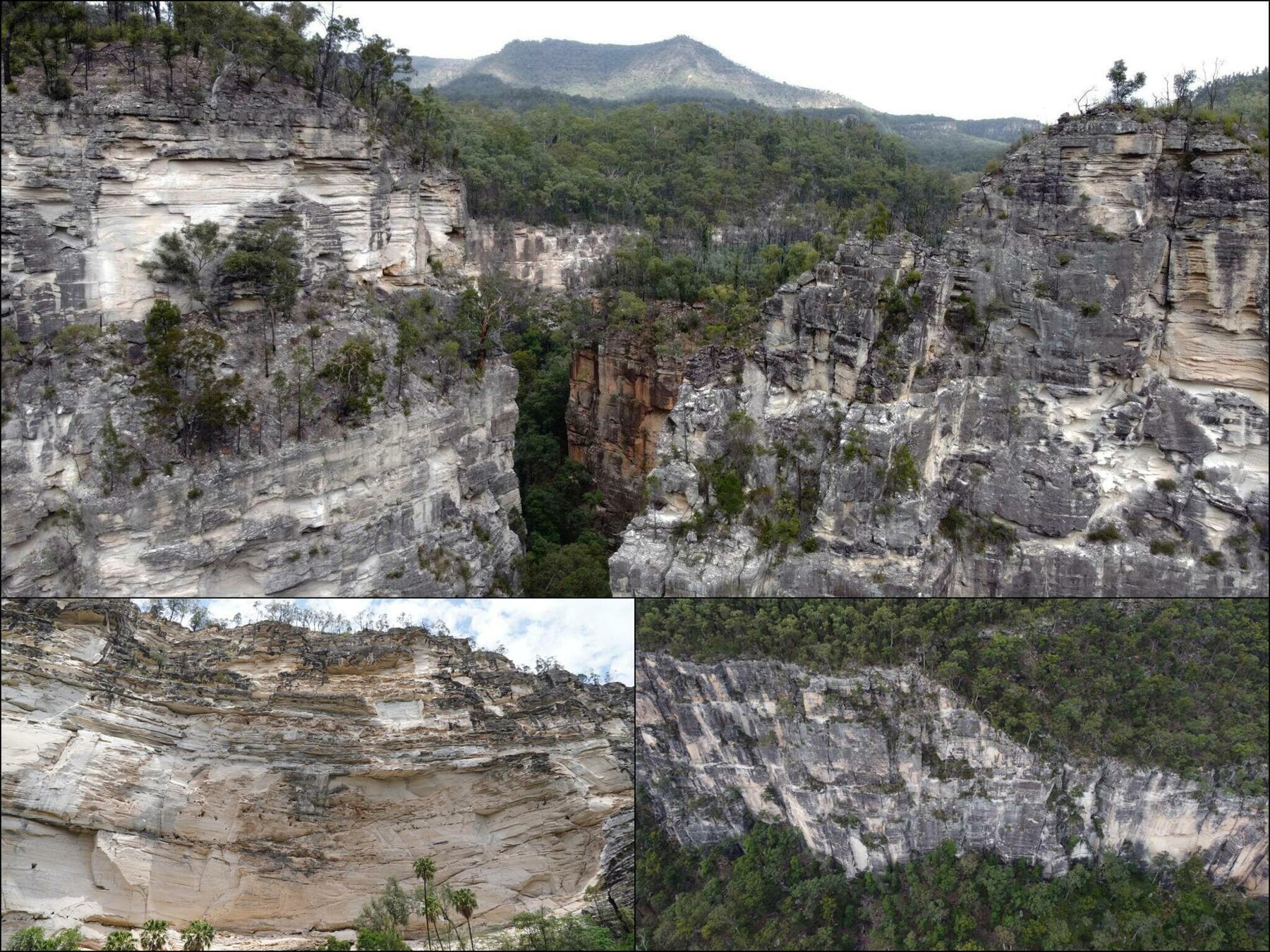 ArtStation - 324 photos of Limestone Gorge Environment | Resources