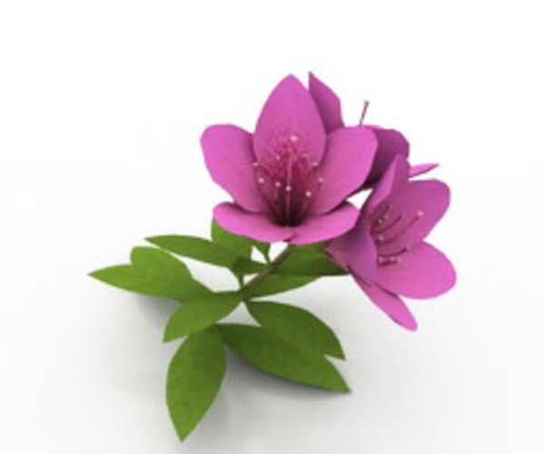 ArtStation - Resource-Interior-Exterior-Flower Tutuzi | Resources