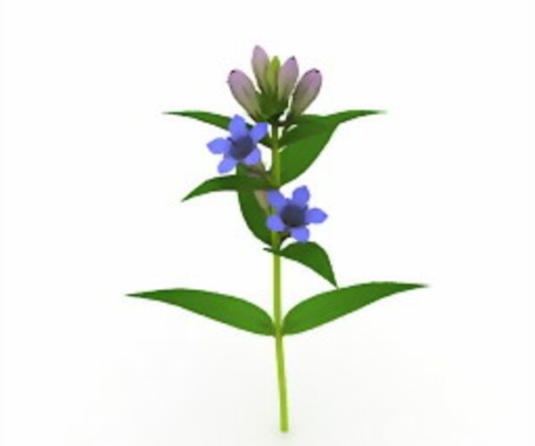 ArtStation - Resource-Interior-Exterior- Flower Rindou | Resources