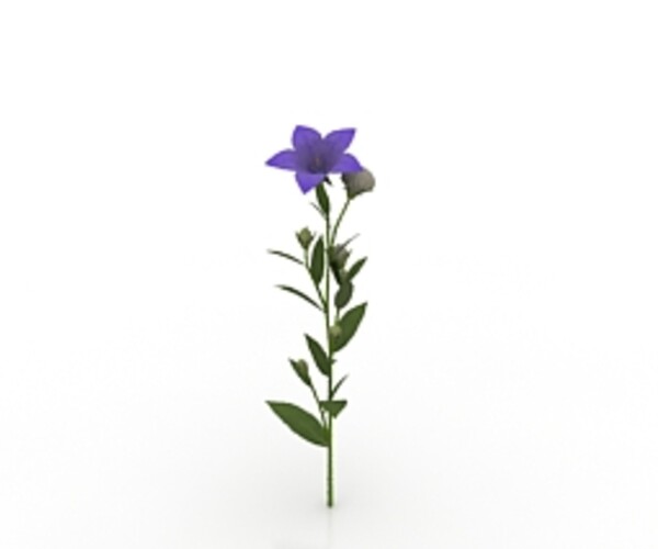 ArtStation - Resource-Interior-Exterior- Flower Kikyou | Resources