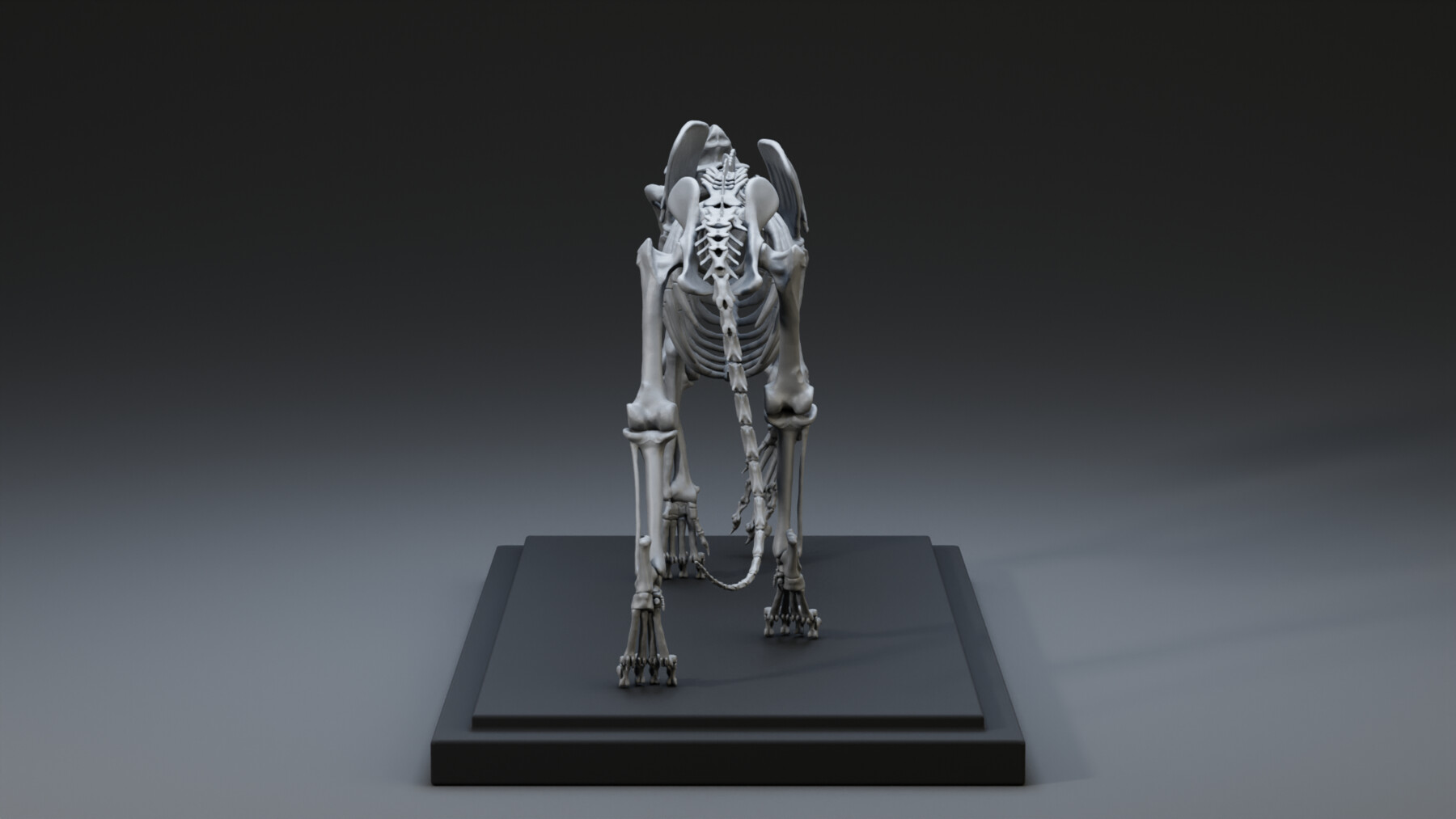 ArtStation - Tiger Ecorche Pose | Game Assets