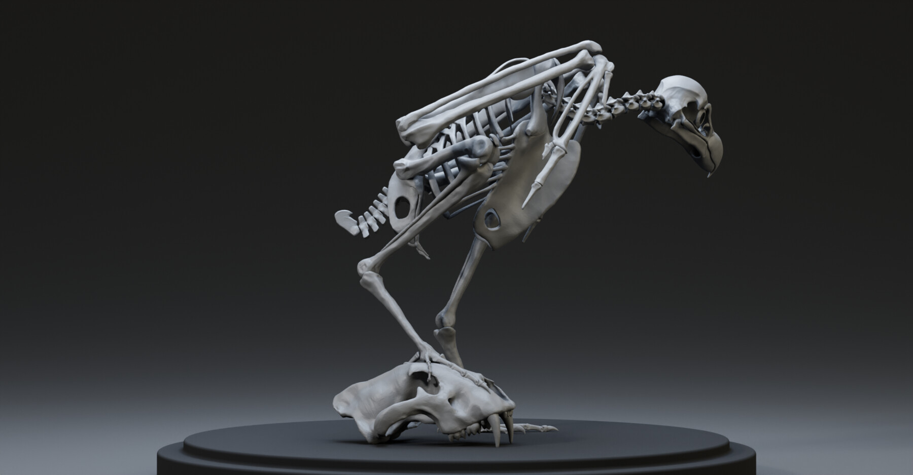 ArtStation - Vulture Ecorche Pose | Game Assets